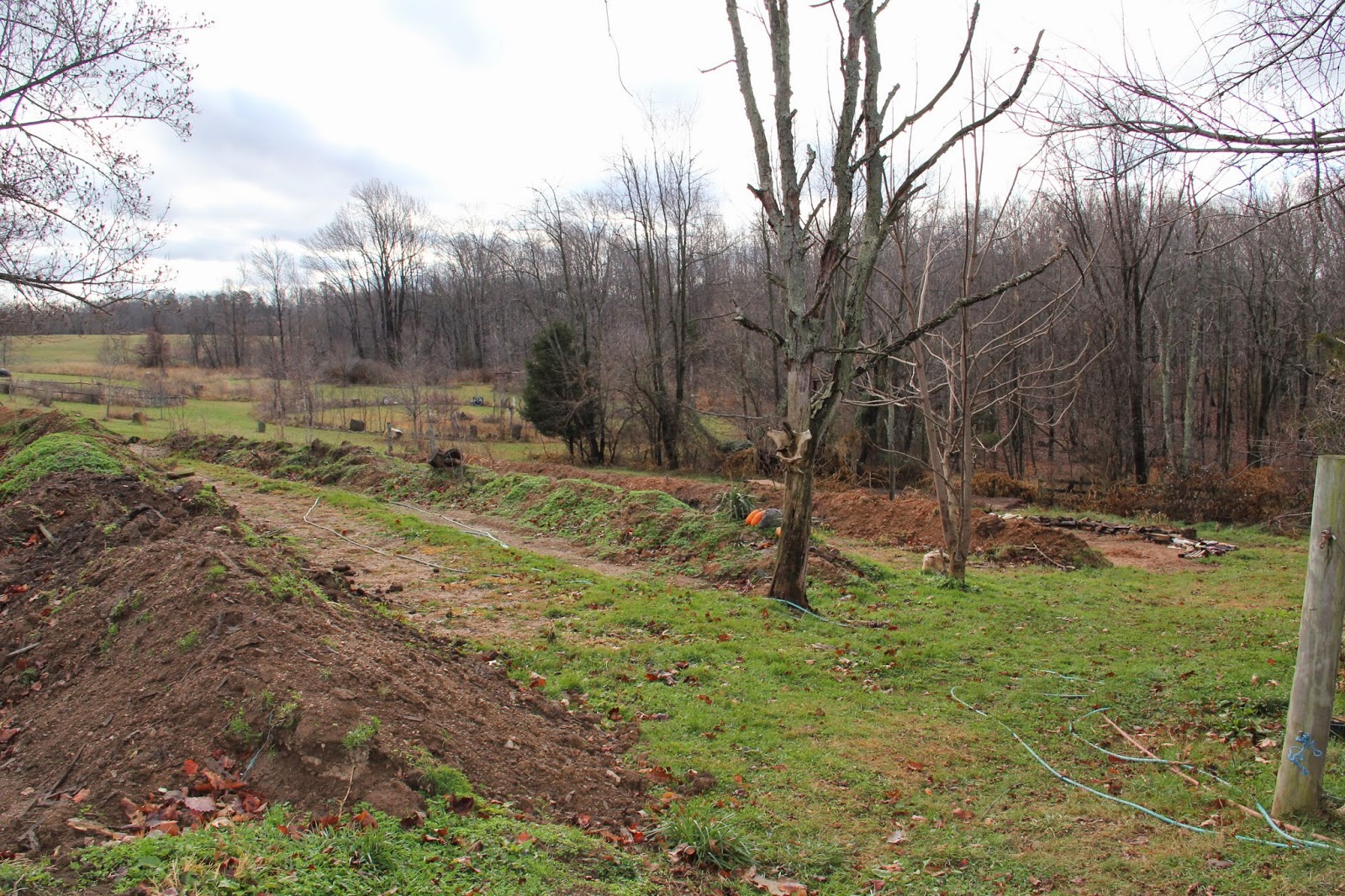 Conucos in the Modern Day: Our Ancestors Living On. – Voice of the ...